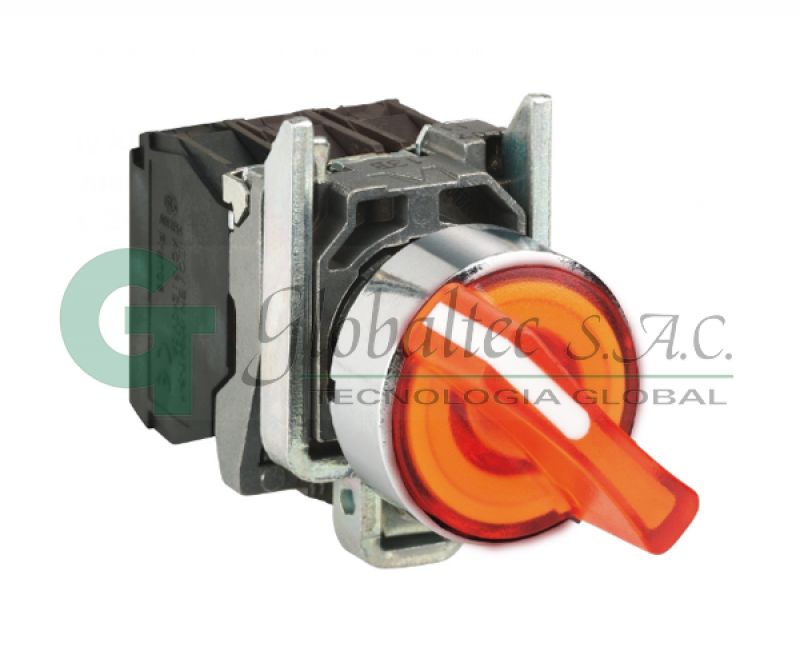 Selector Luminoso verde 3 Posicion NA+NC 24VAC/DC XB4BK133B5 - SCHNEIDER